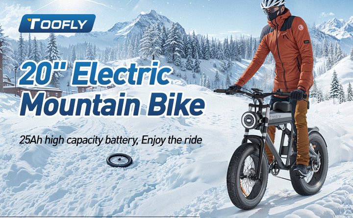 Toofly Electric Bikes - Best E-Bikes